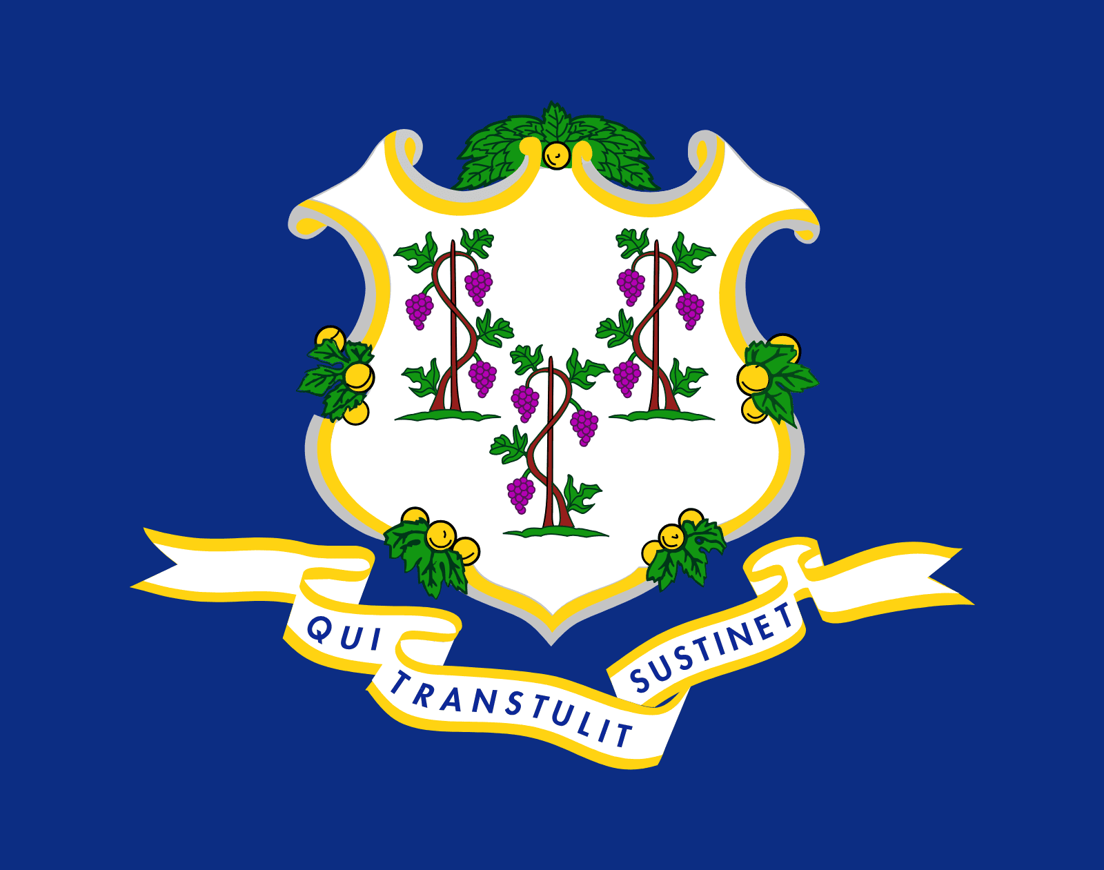 Flag of Connecticut | Flagpedia.net